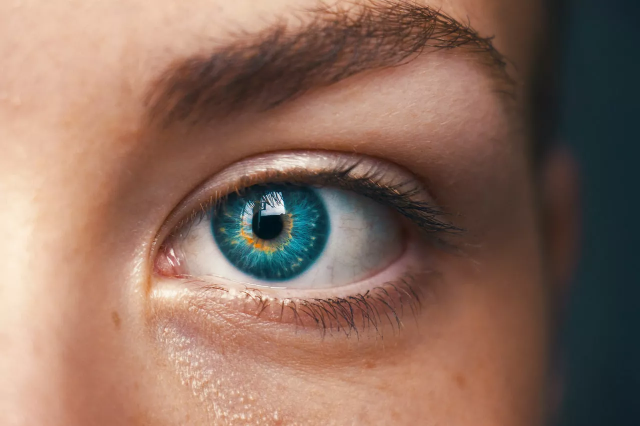 The 3 Types of Intelligence You NEED To Master Life - My Daily Thoughts